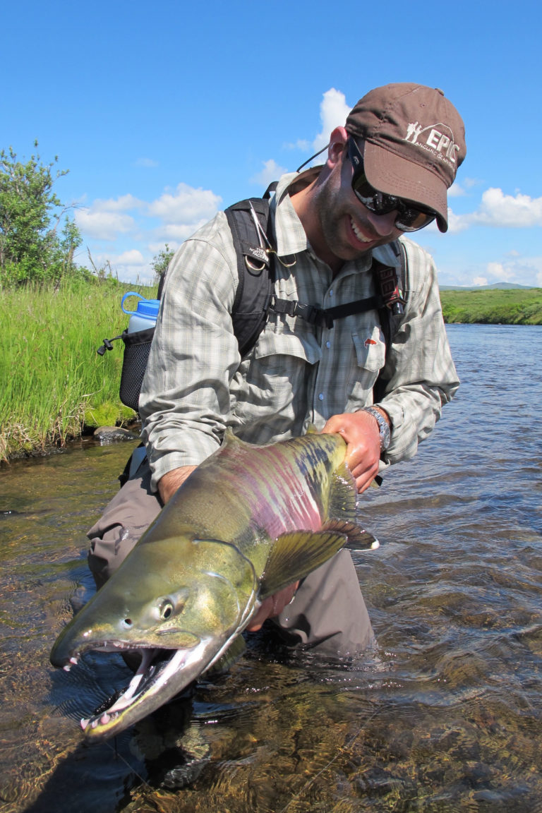 Seven Species Series: Chum Salmon - Alaska Fly Fishing Trips